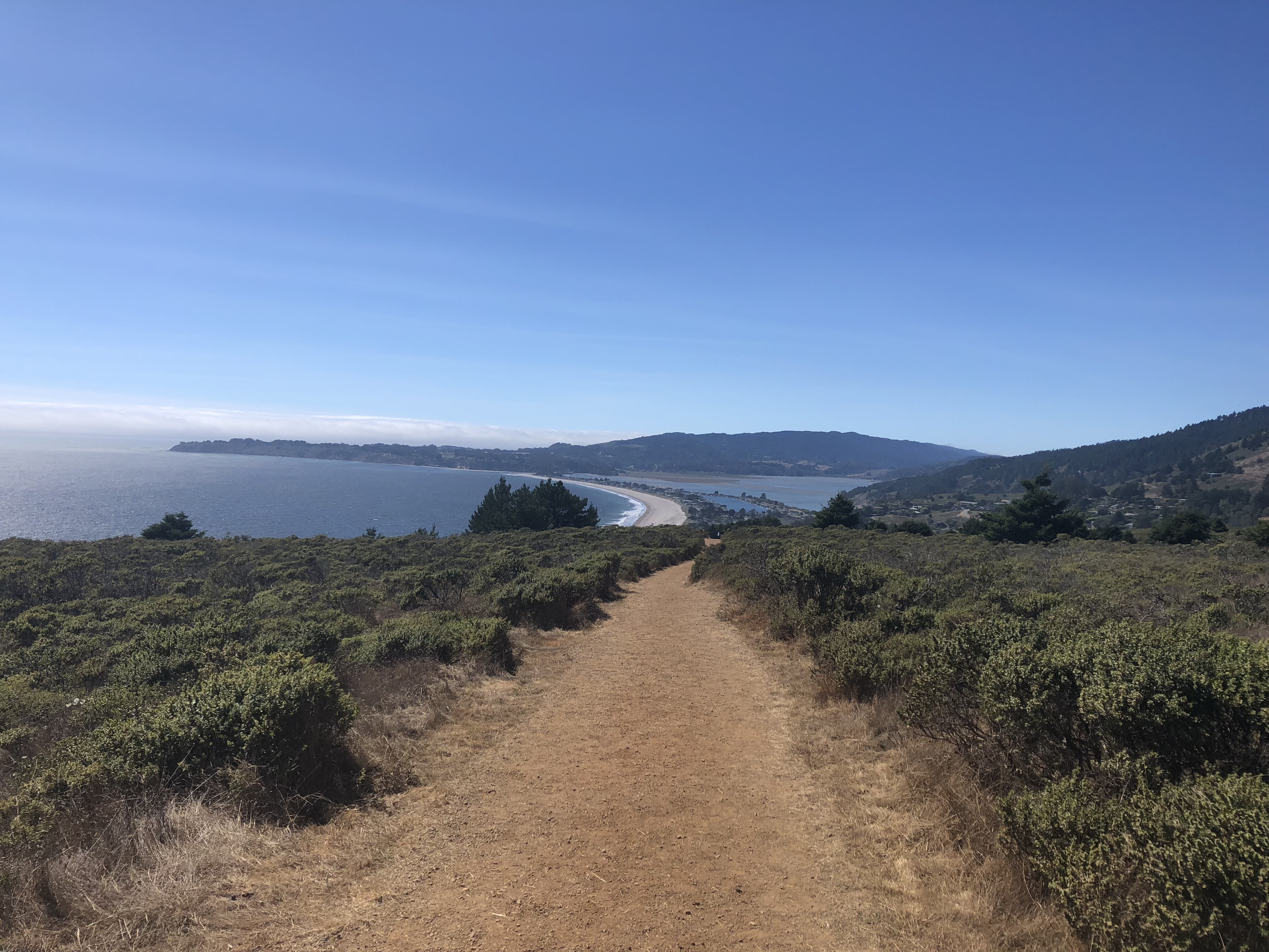 Dipsea Race 2022 | Send It Running
